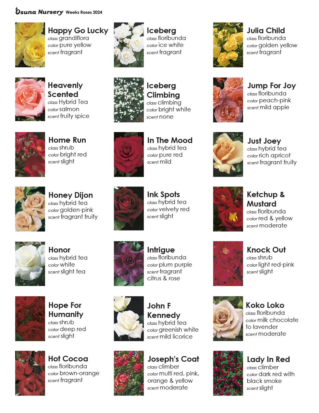 Osuna Nursery Weeks Rose List 2024 by osunanurserymarketing - Issuu