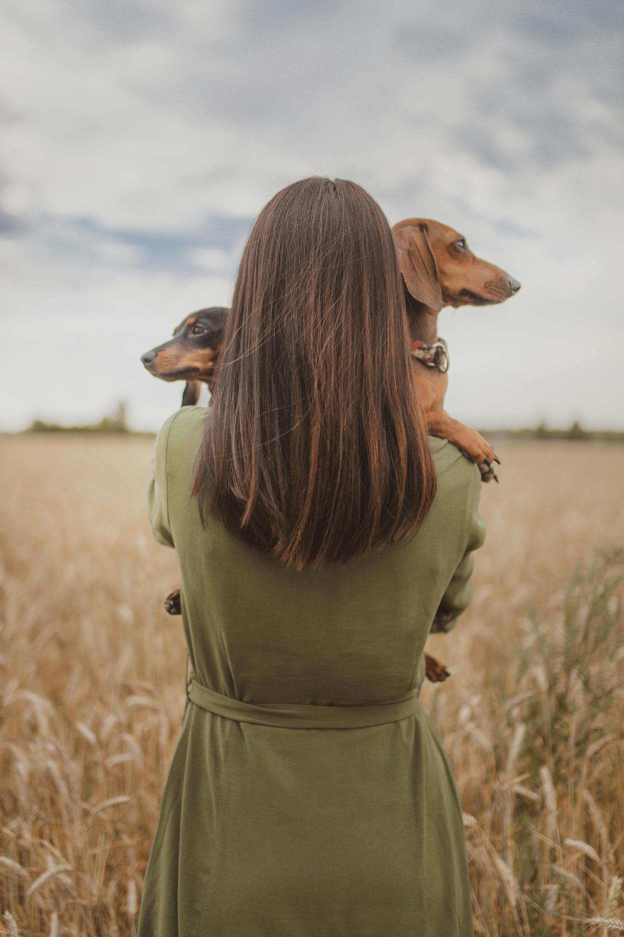 A Brief Introduction About Donna Krudwig by Donna Krudwig - Issuu