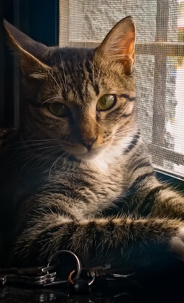 Akash Gaikwad | Architecture + Design portfolio - SPA Vijayawada | 2021- 2024 by Akash Gaikwad ...