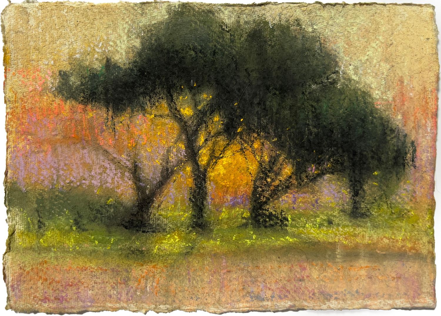 Anne Middleton - Vignette by Georgie Bruce - Issuu