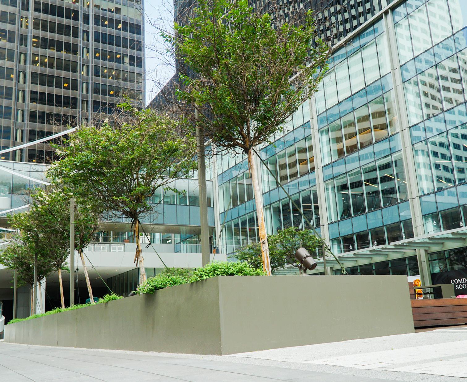 Renfrow+Co Planters Portfolio by renfrowco - Issuu