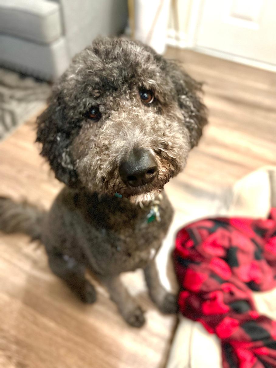 The Carrington Wedding Program by Carringtonwedding - Issuu