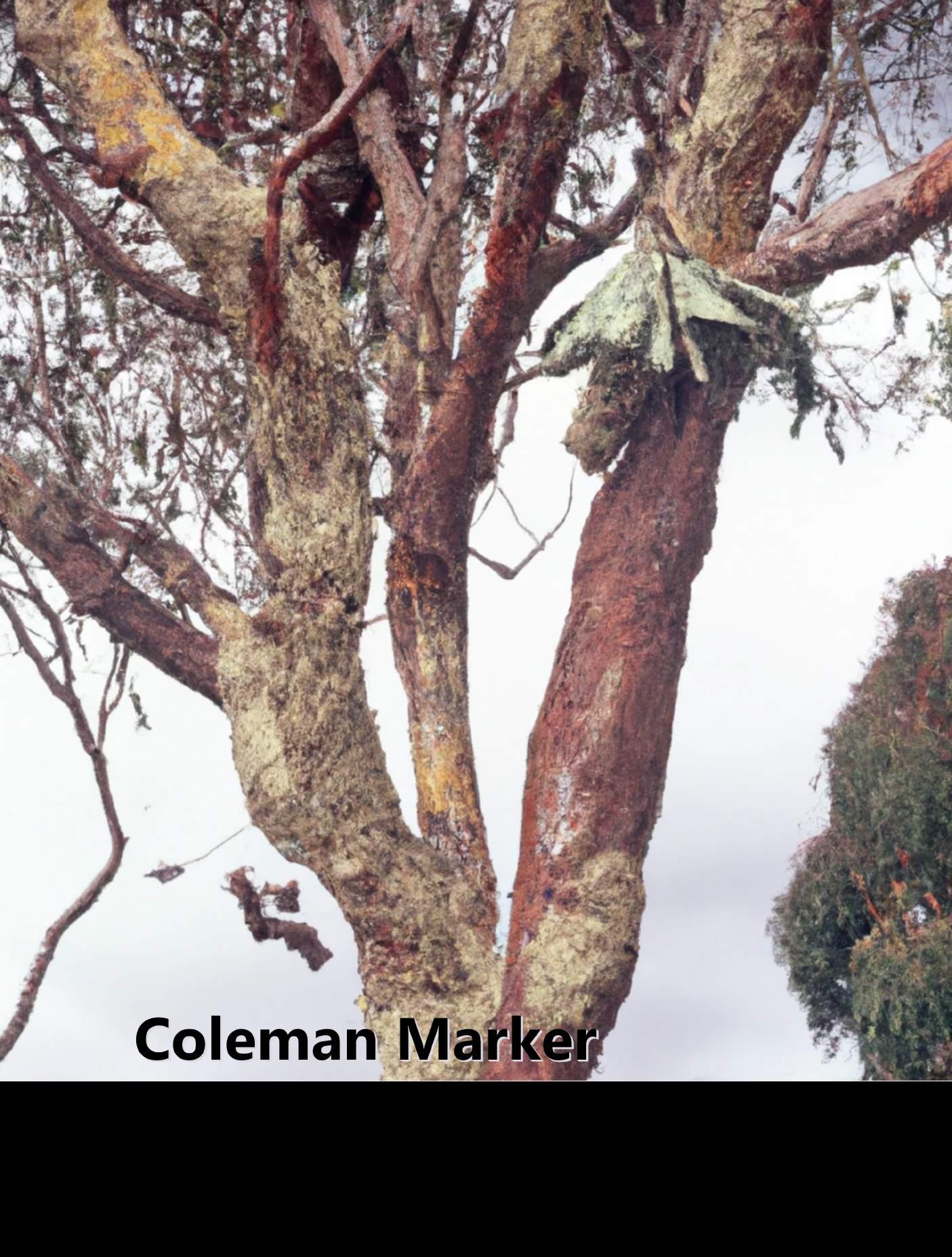 Coleman J. Marker Portfolio 2024 by Coleman Marker - Issuu