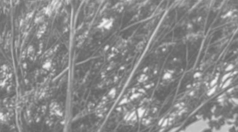 PORTFOLIO KEVIN CUSTODIO by Kevin Custodio (kcustod) - Issuu