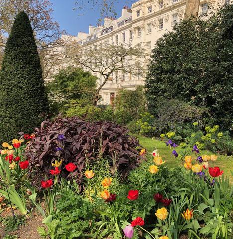 London Open Gardens 2024 Map Guide by London Parks & Gardens - Issuu