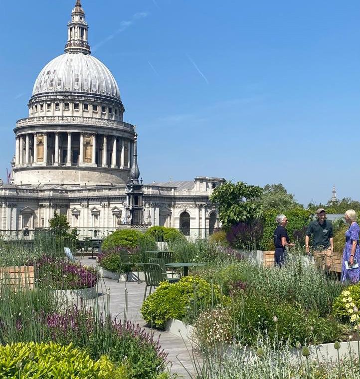 London Open Gardens 2024 Map Guide by London Parks & Gardens - Issuu