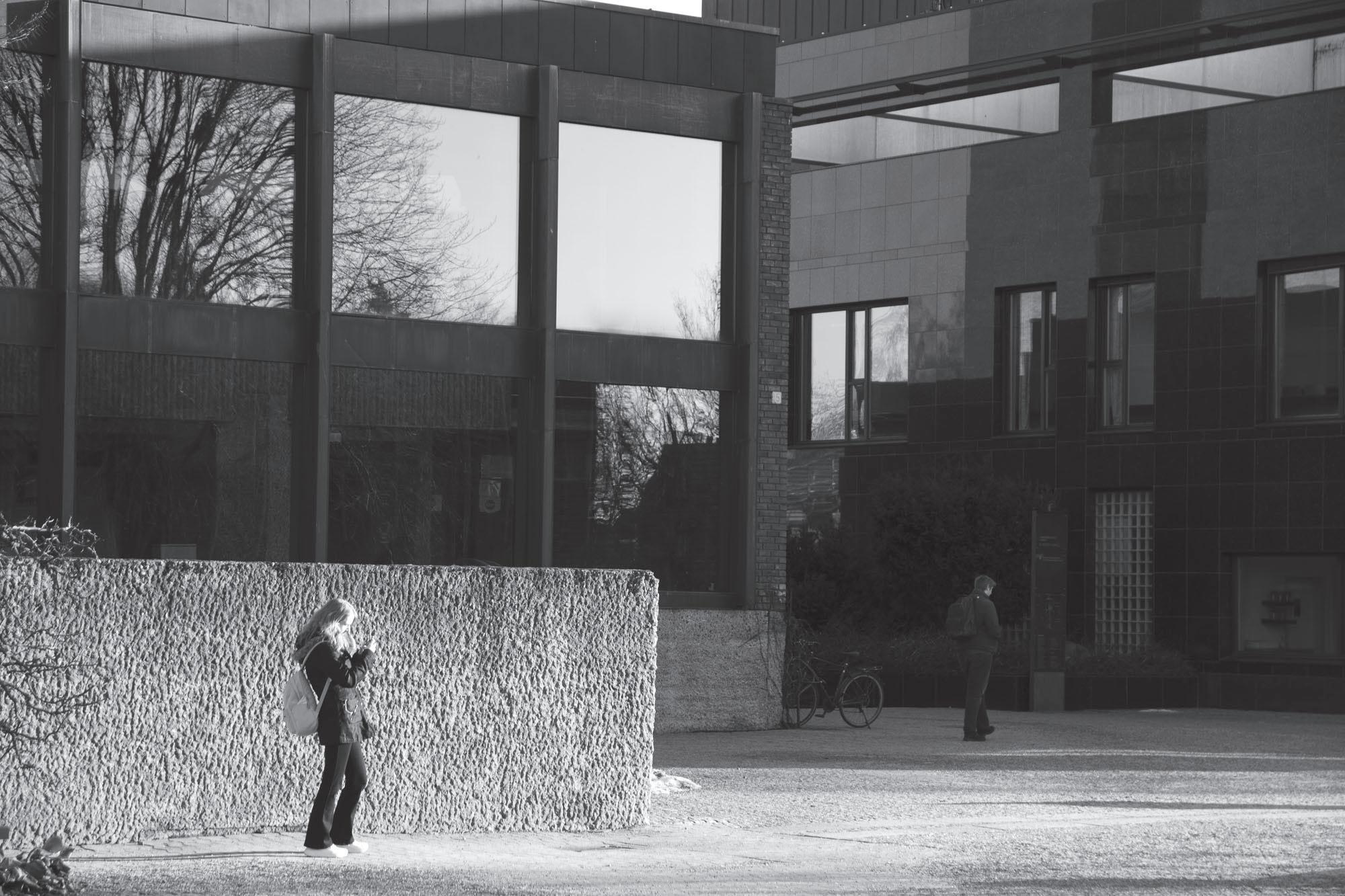 Fordypningsoppgaver 2024 by Oslo by steinerskole - Issuu