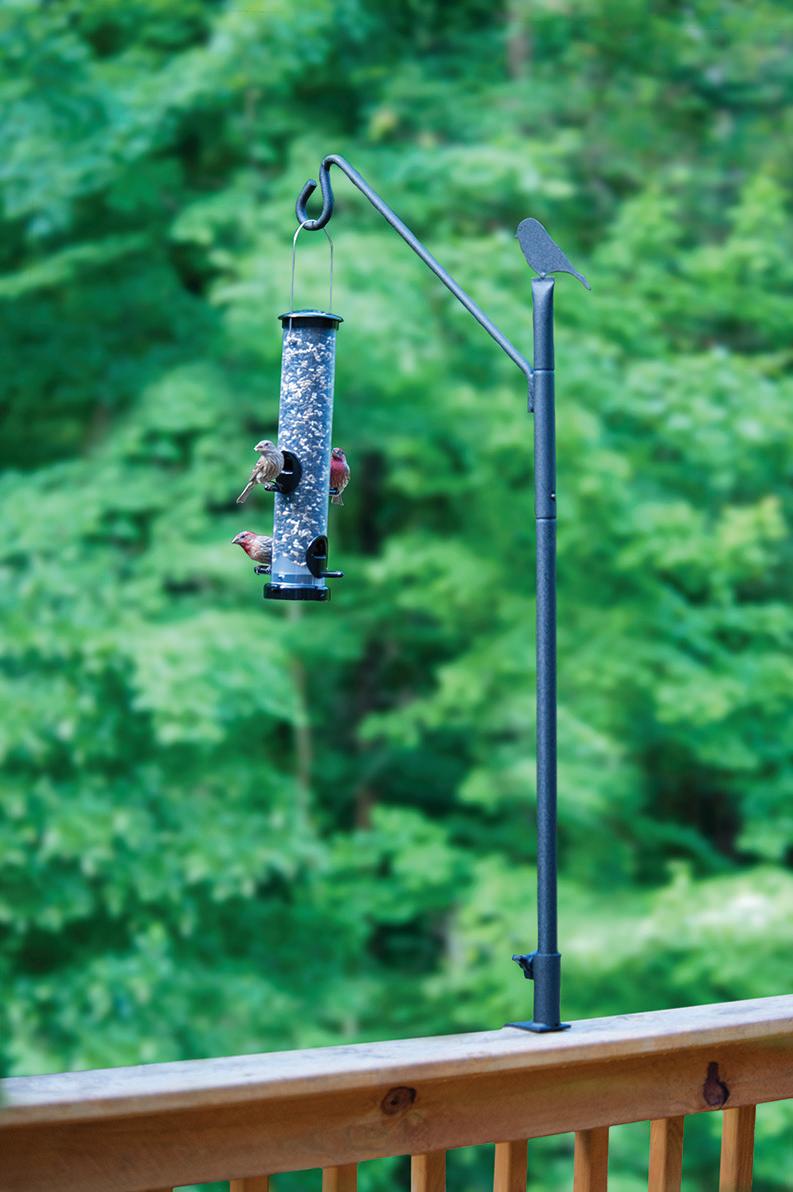 Wild Birds Unlimited All Seasons Hobby Guide Canada by Wild Birds ...