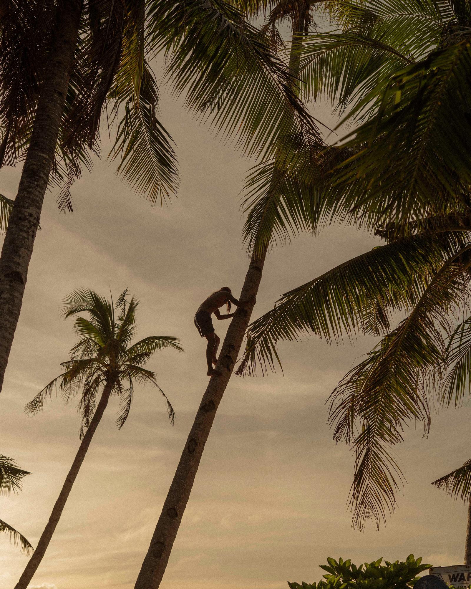 Alex Buzolic Photographer Portfolio. by Alex Buzolic - Issuu