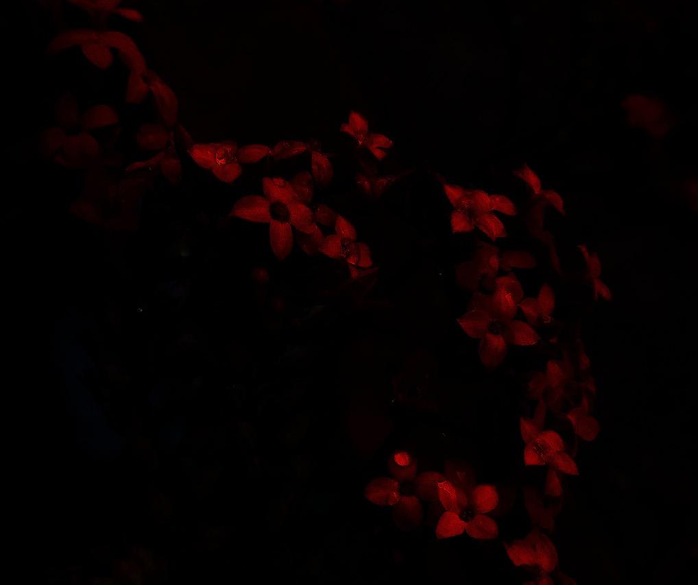 Atharva Chavan | Architectural Design Portfolio 2021-24 | SPA ...