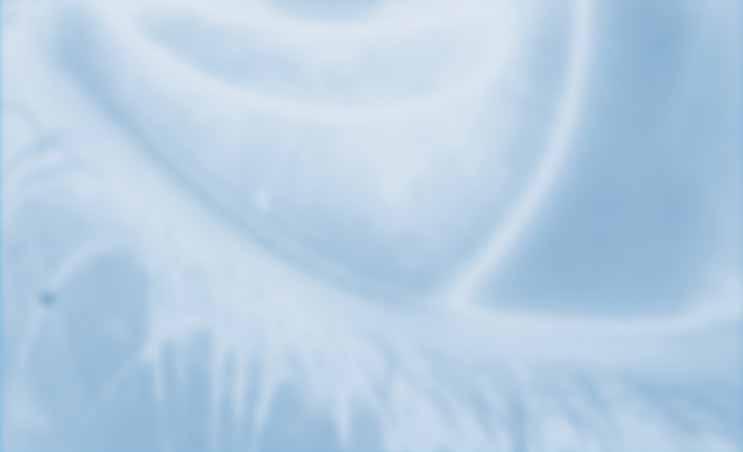 Zdravlje Plus katalog travanj 2024 by zdravljeplus - Issuu