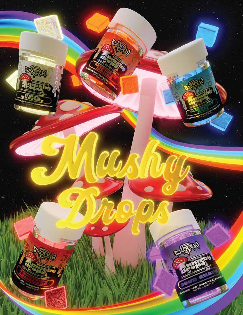 Exodus 2024 Wholesale Catalog by Jonah Creatives - Issuu