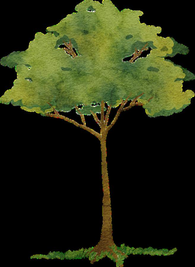 Aquinas College Maps by Aquinas College WA - Issuu