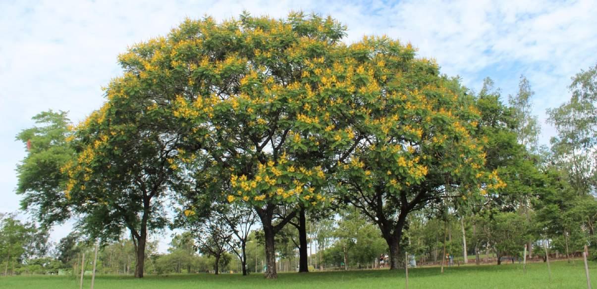 5Días Edición 10-04-2024 by Editorial de Negocios S.A. - Issuu