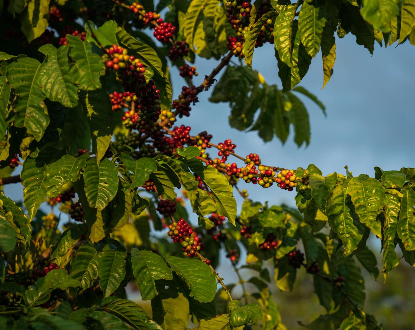 Destination Magazine Zimbabwe Issue 08 by Caast Media Group - Issuu