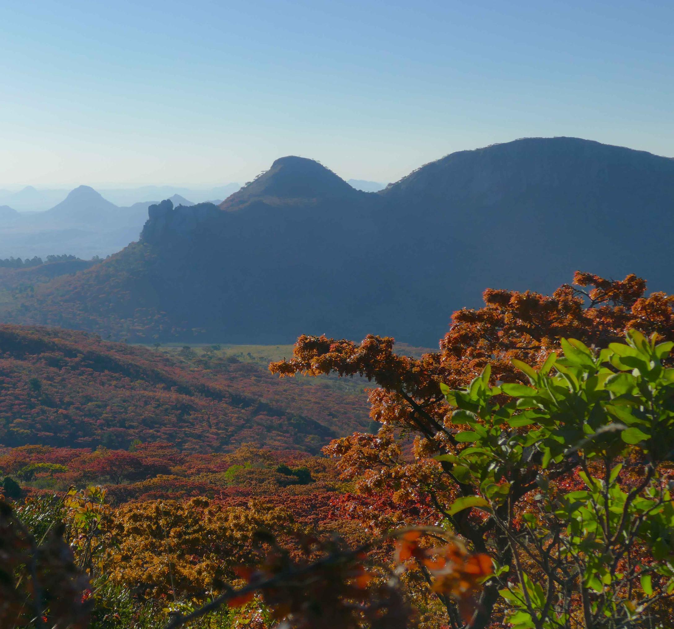 Destination Magazine Zimbabwe Issue 08 by Caast Media Group - Issuu