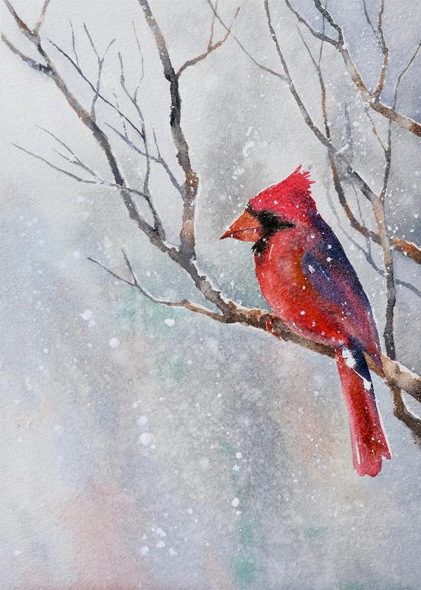 Spring 2024 Newsletter by deb.paine - Issuu