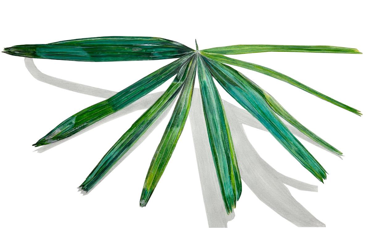 Sujal Oza I Undergraduate Architecture Portfolio I Nirma University I 2024 by oza sujal - Issuu