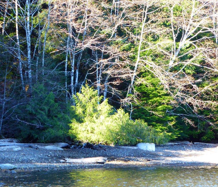 Seal Cove | Fay Ranches by Fay Ranches - Issuu