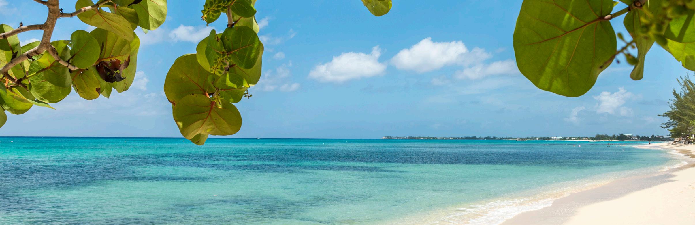 Reinsurance Works in the Cayman Islands by dart.ky - Issuu