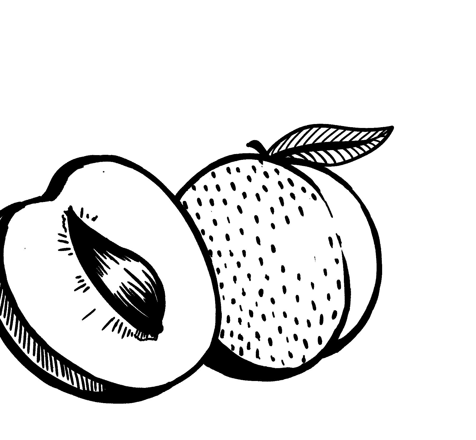 Bee Smooth Brand Guidelines by Taryn Kennedy - Issuu