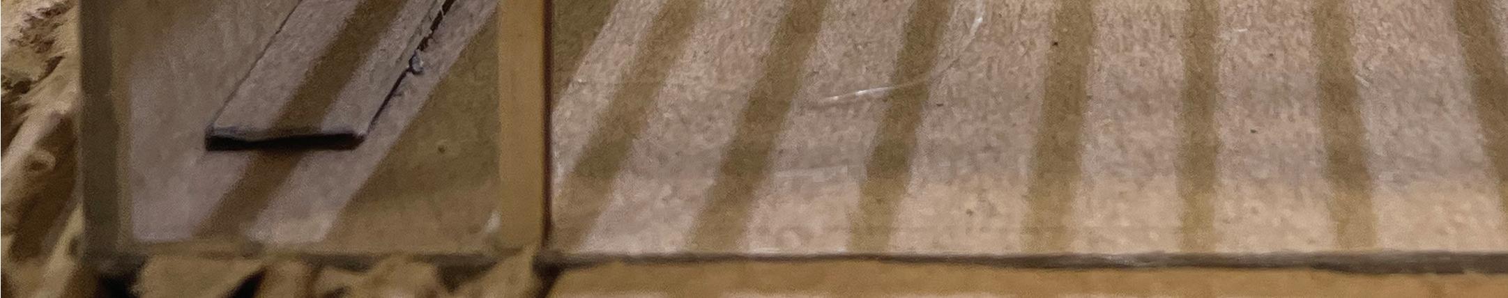 Damien Josephson Portfolio by Damien Josephson - Issuu