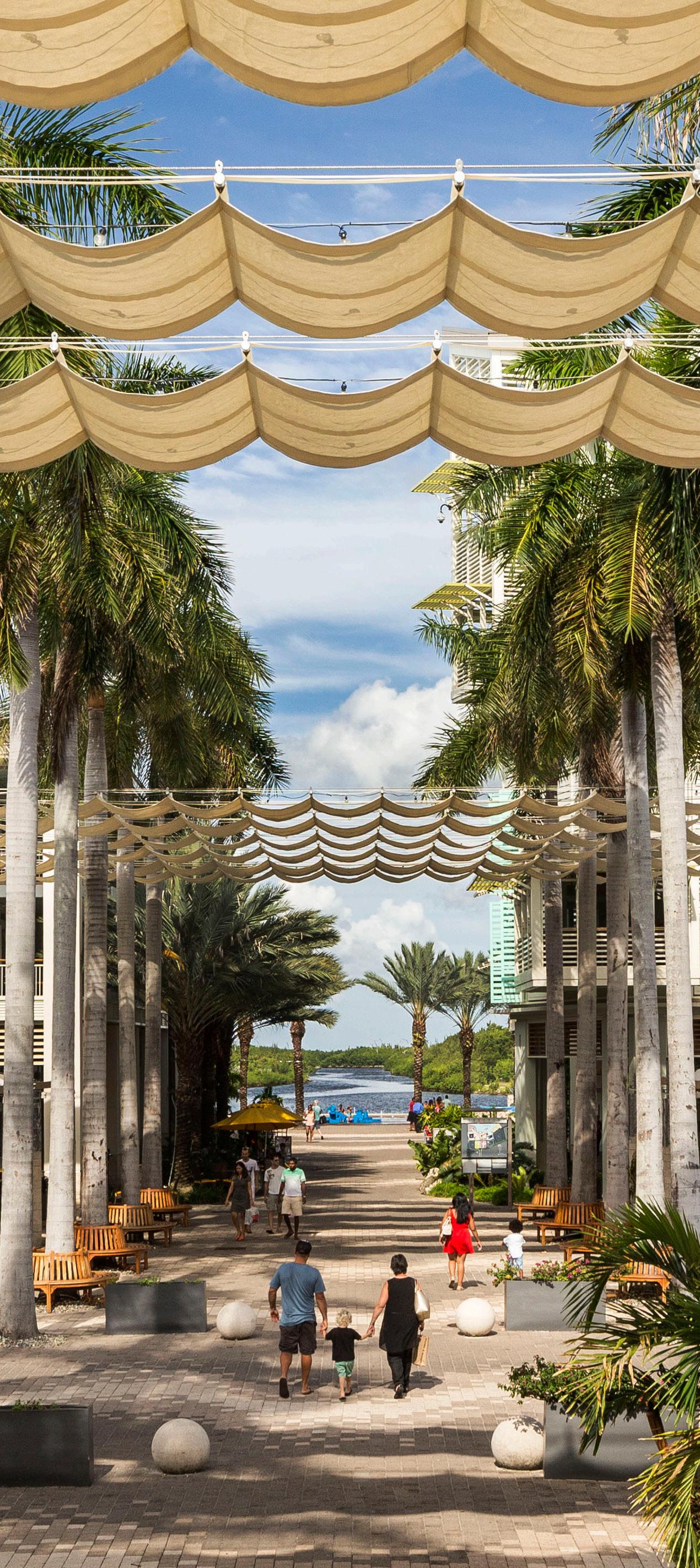 Camana Bay Destination Guide by dart.ky - Issuu