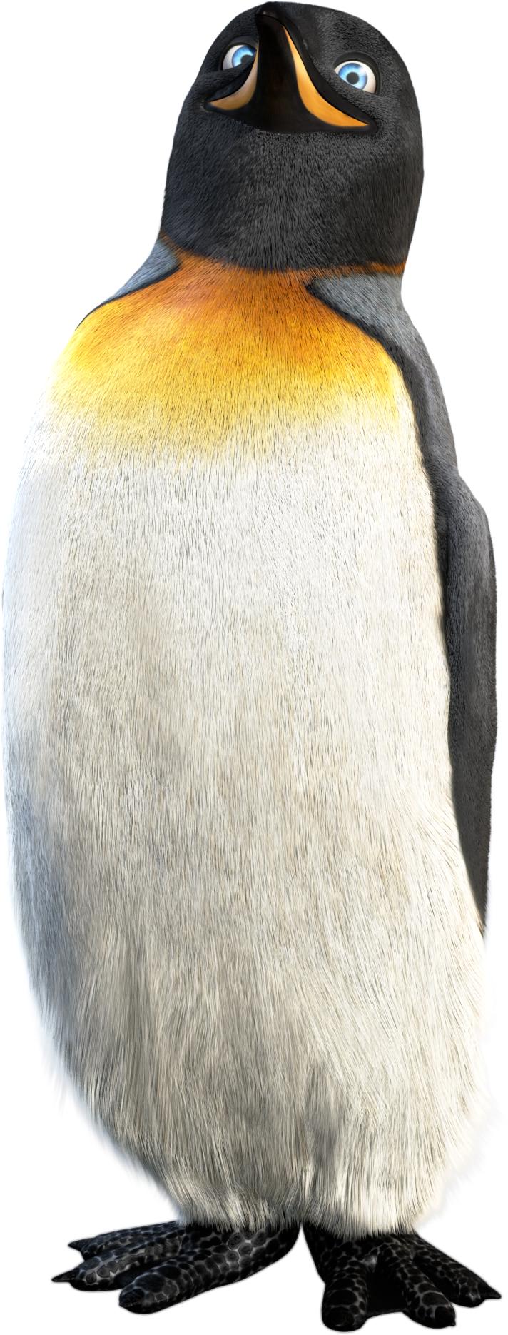 The Penguin CARE Program by Jotun Group Communications - Issuu