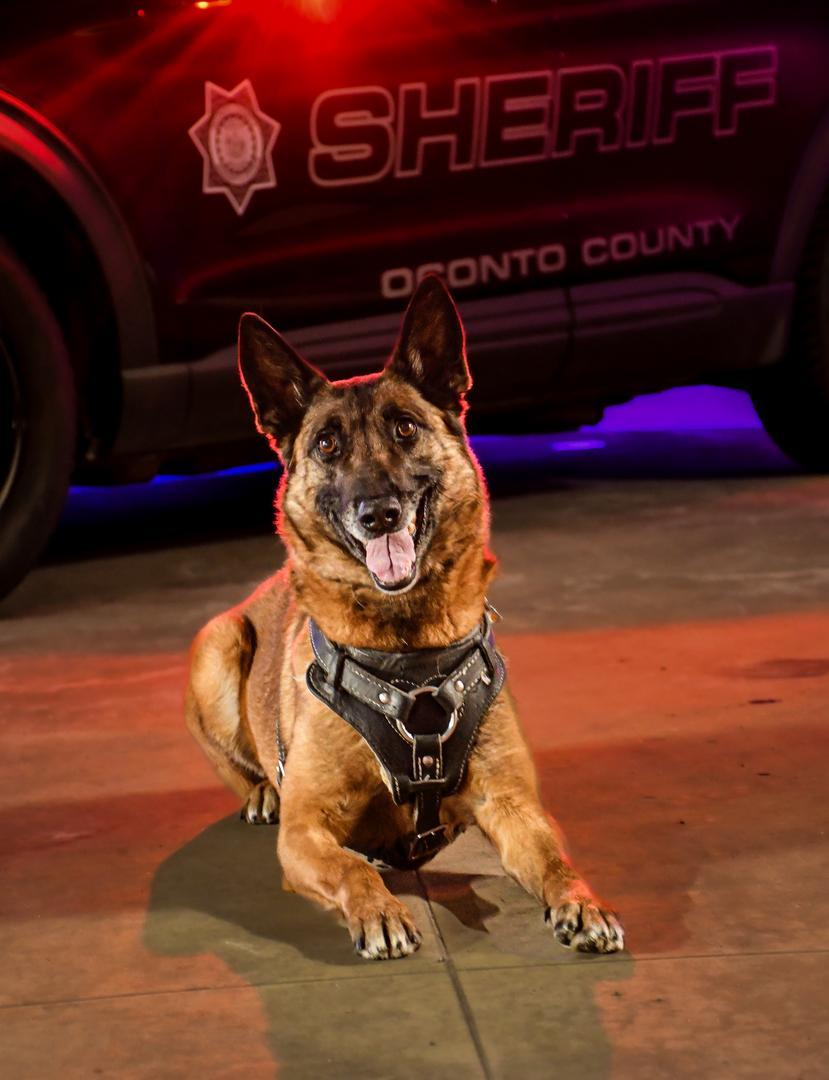 2023 Oconto County Sheriff's Office Annual Report by ...