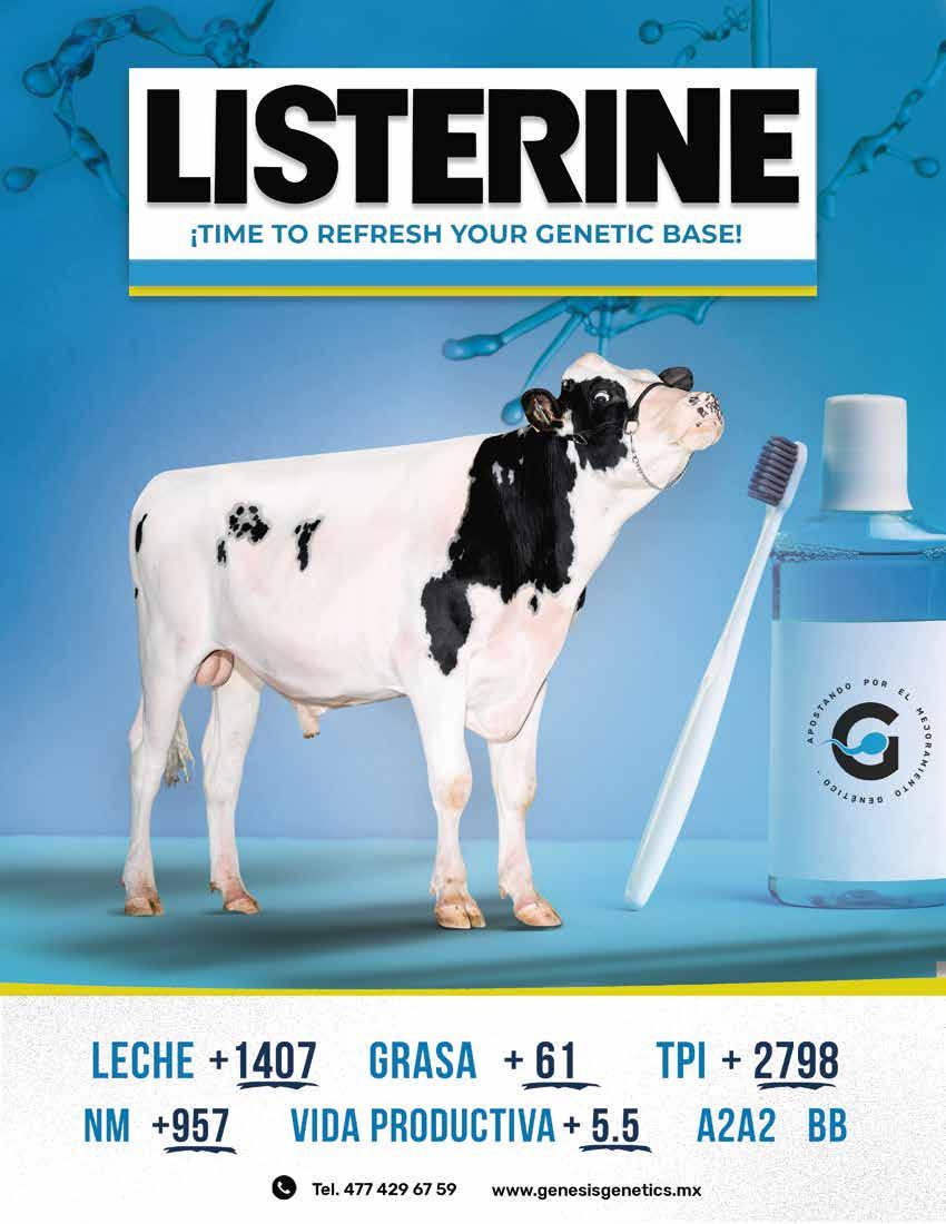 Catálogo Genesis Genetics Abril 2024 by GenesisGenetic - Issuu