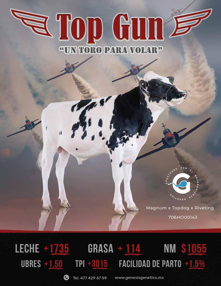 Catálogo Genesis Genetics Abril 2024 by GenesisGenetic - Issuu