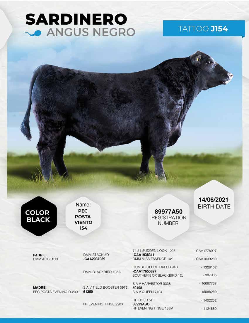 Catálogo Genesis Genetics Abril 2024 by GenesisGenetic - Issuu
