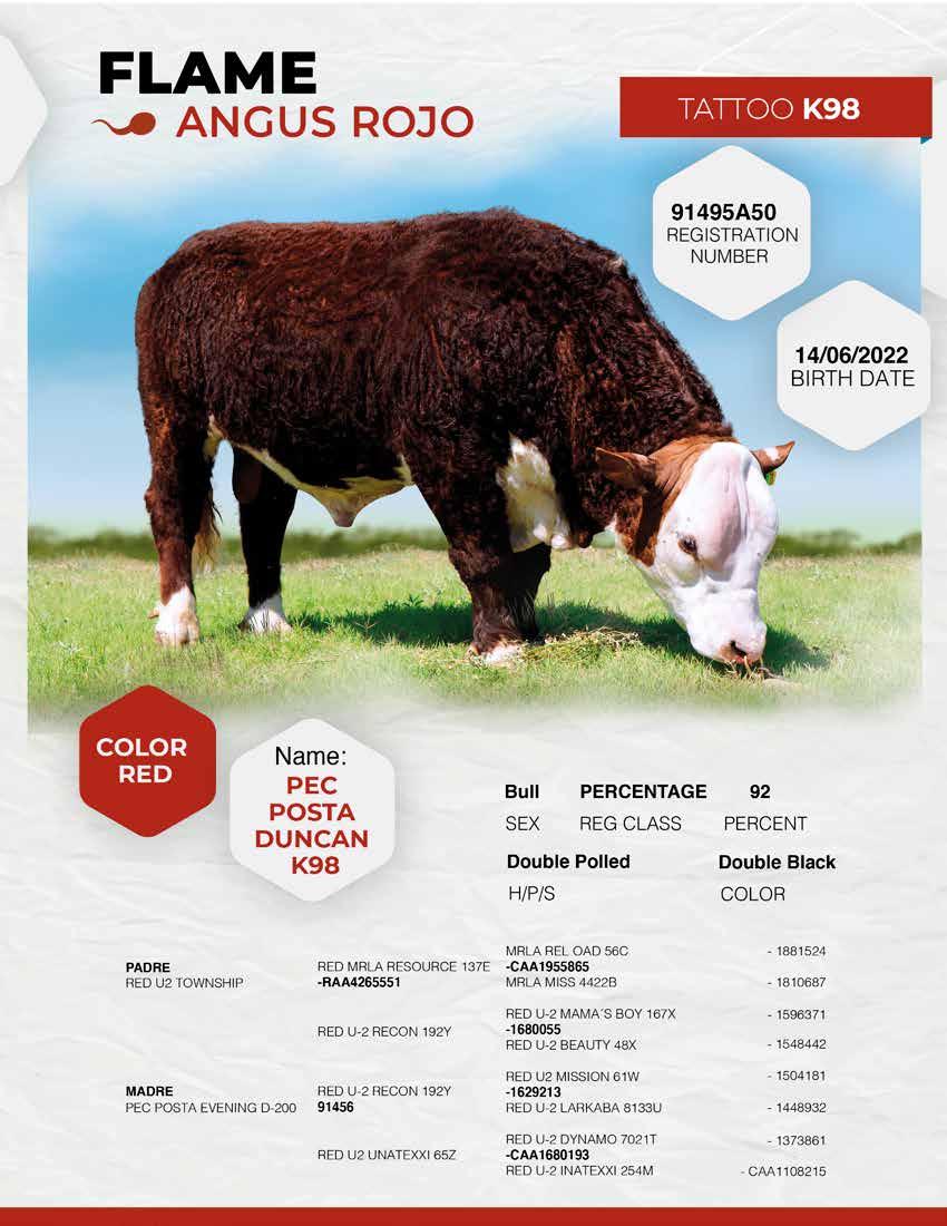 Catálogo Genesis Genetics Abril 2024 by GenesisGenetic - Issuu