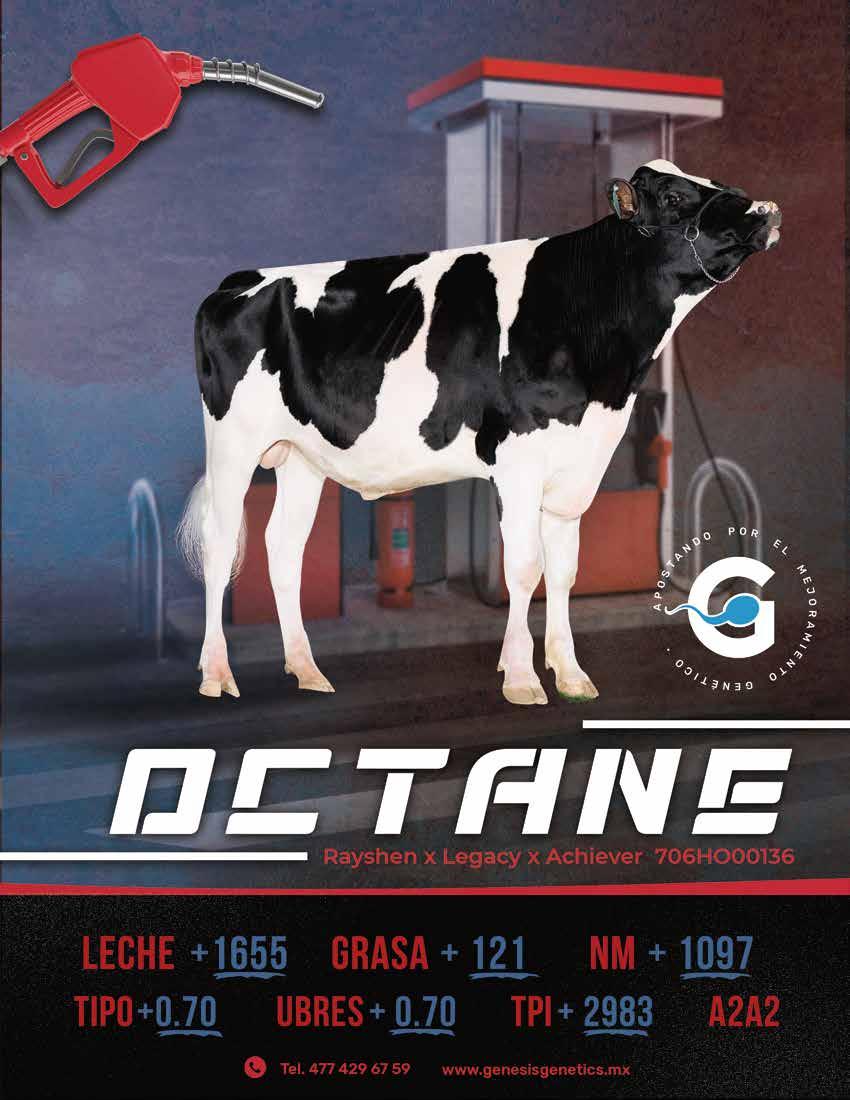 Catálogo Genesis Genetics Abril 2024 by GenesisGenetic - Issuu