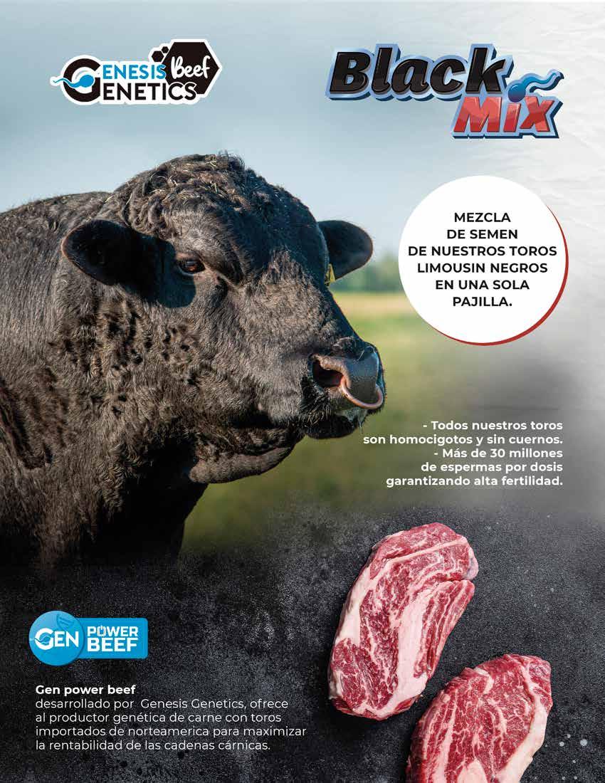 Catálogo Genesis Genetics Abril 2024 by GenesisGenetic - Issuu