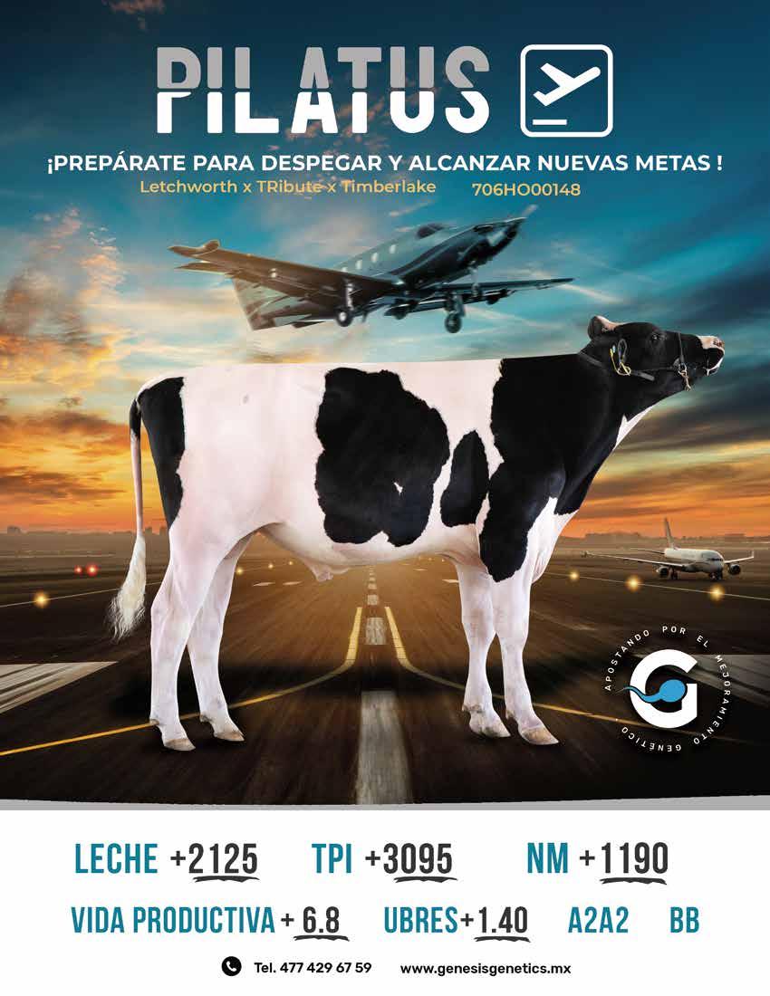 Catálogo Genesis Genetics Abril 2024 by GenesisGenetic - Issuu