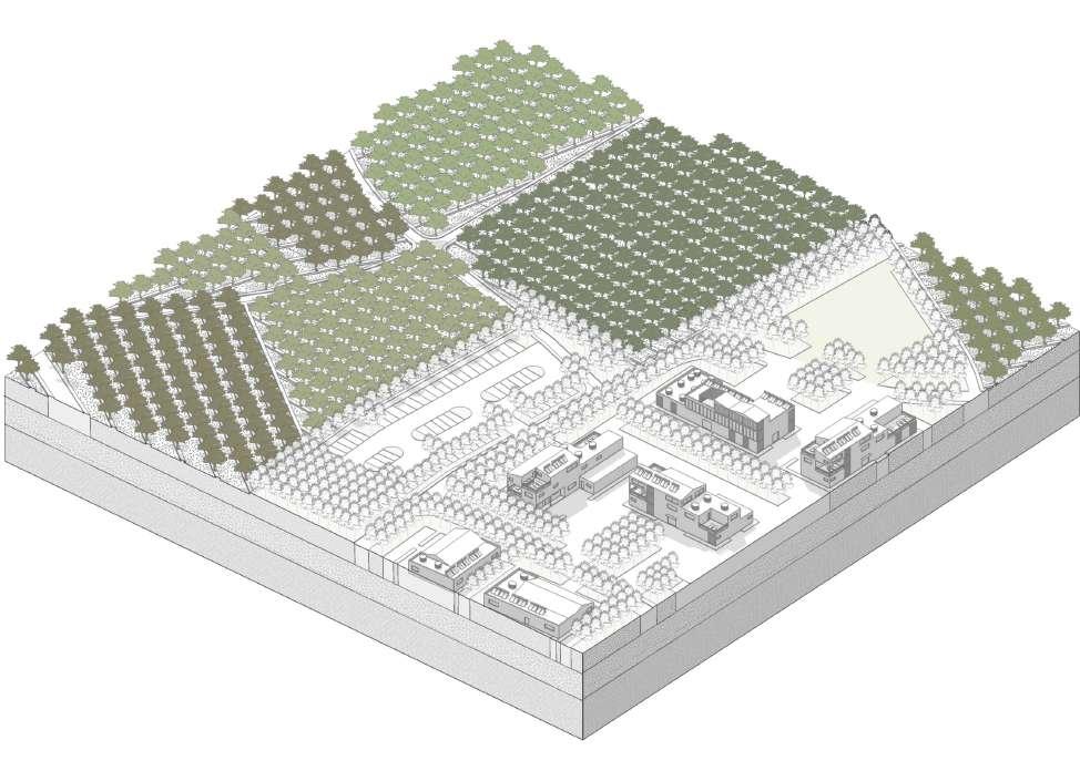 Portfolio for UCL Landscape Architecture-Yuting Wang by lomapleve - Issuu