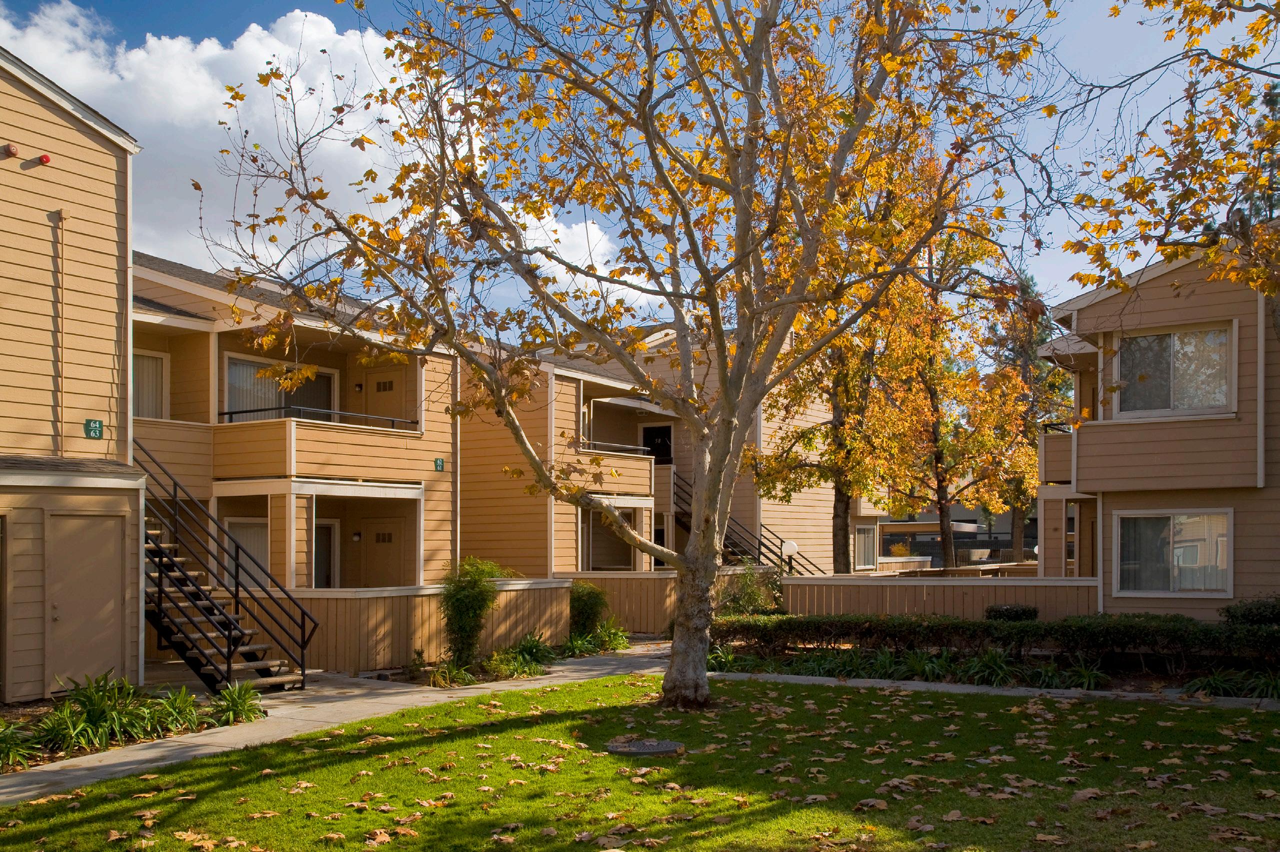 2024-25 UCR Housing Guide by ADS_UCR - Issuu