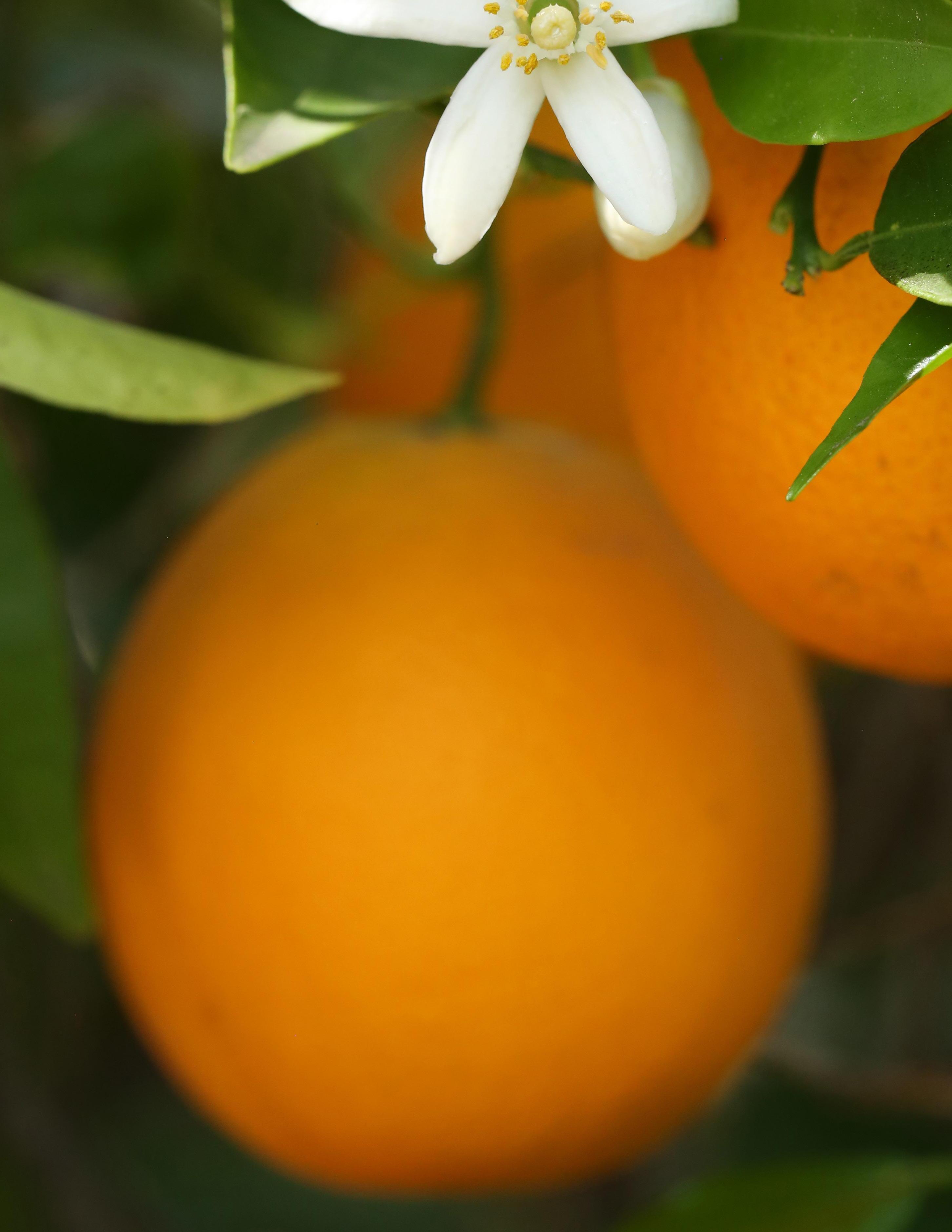 2024-25 UCR Housing Guide by ADS_UCR - Issuu