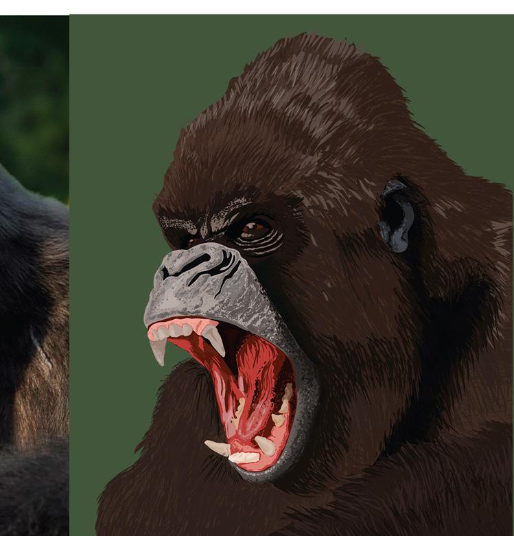 Coursera Course By Matina Fotoglou Issuu