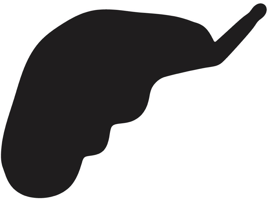 GoMDL Magazine - Spring/Summer 2024 by 87FSS Marketing - Issuu