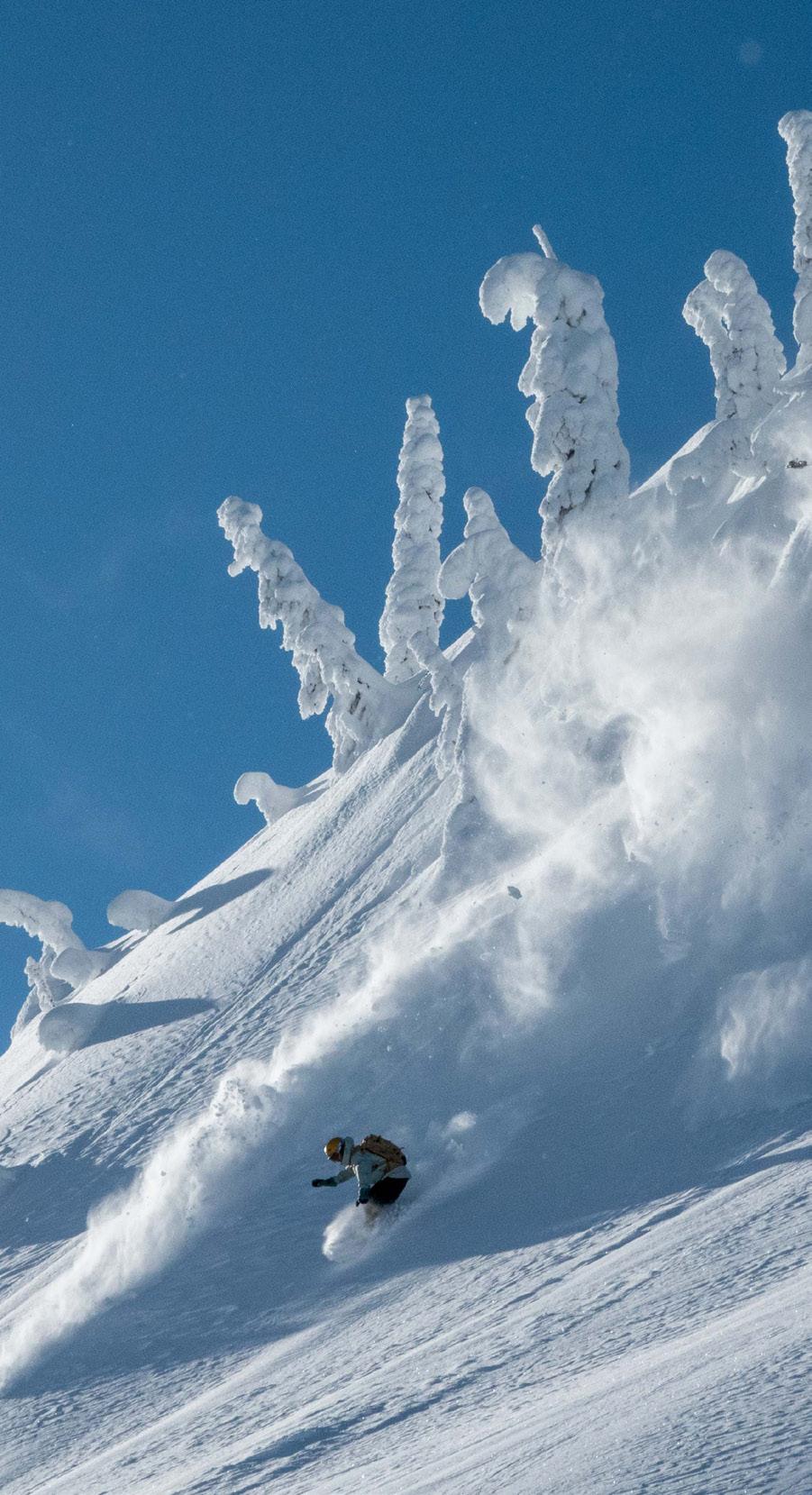 Eleven Revelstoke Lodge Heli-Ski Sheet 2024-2025 by Eleven - Issuu