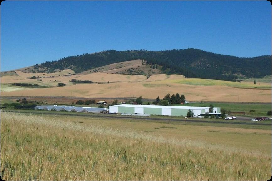 Native Plants, Keystone Species, and More - Kathy Hutton by Water Wise ...