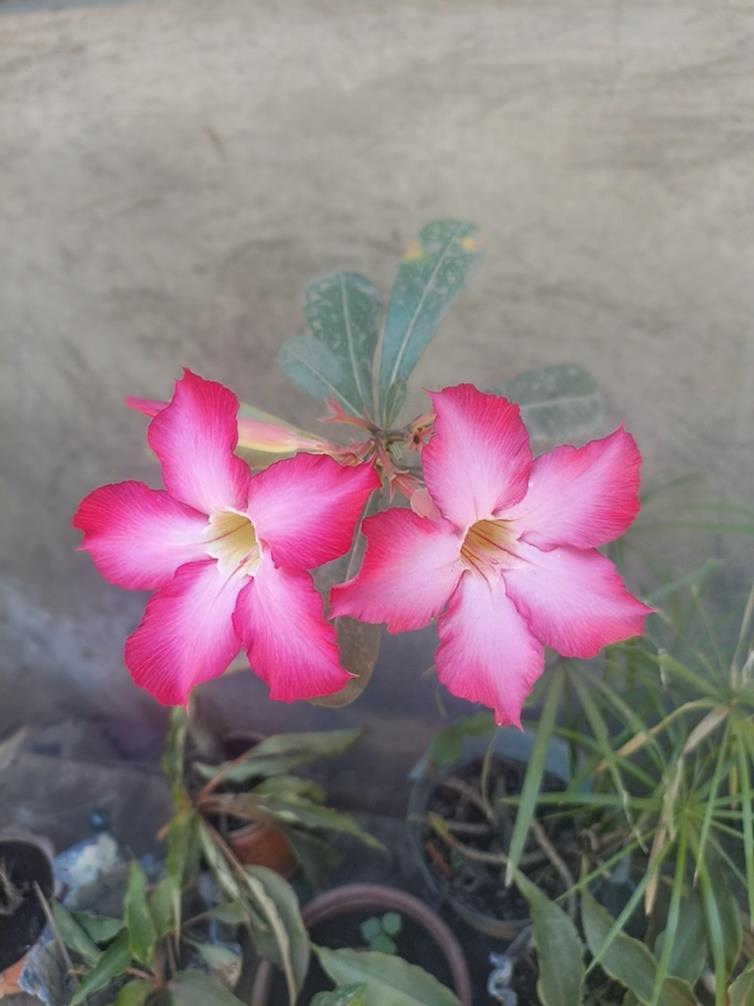 BSIT _1D_MAGAZINE_MMW by BERMAS, ADERIK P. - Issuu