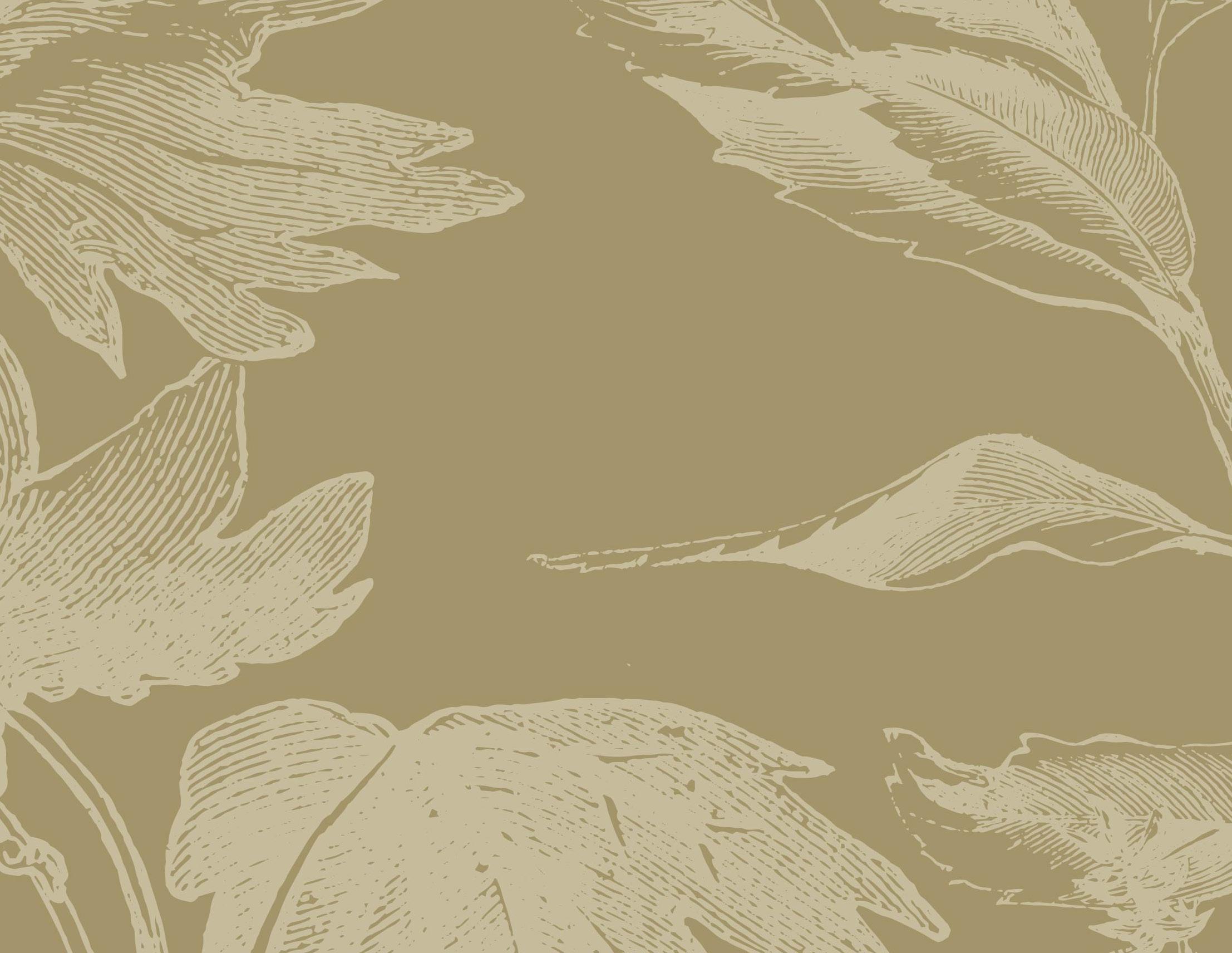 Oxbow Estate - Look Book by oxbow_estate - Issuu