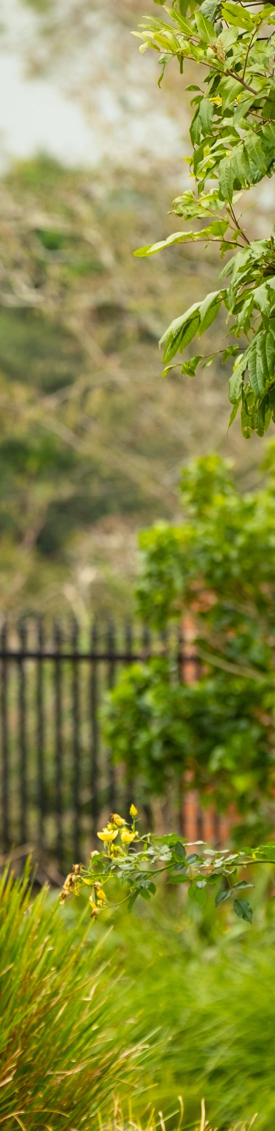 The Ryman Guide - Retirement living in a Ryman village - New Zealand by ...