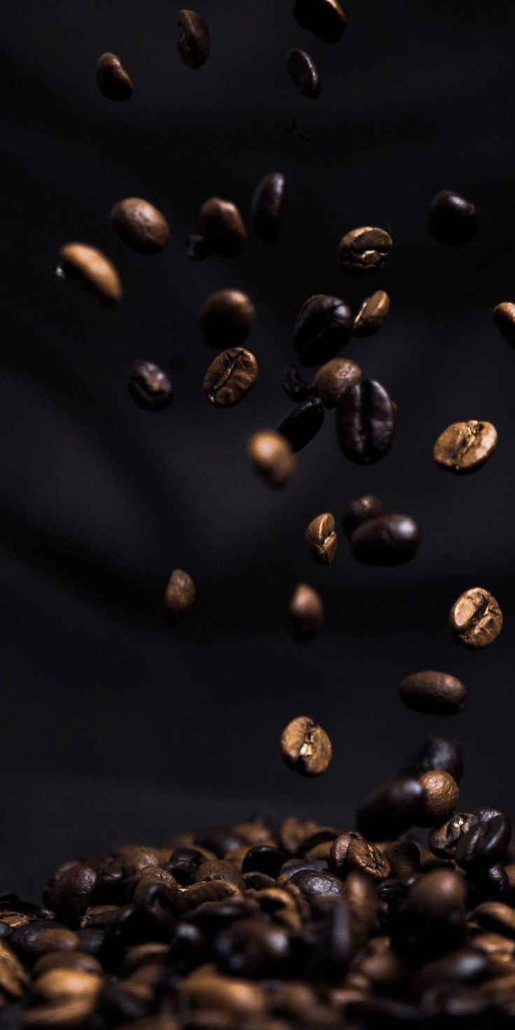 Rebranding - Tiny Bean Coffee - Navy by Polam K - Issuu