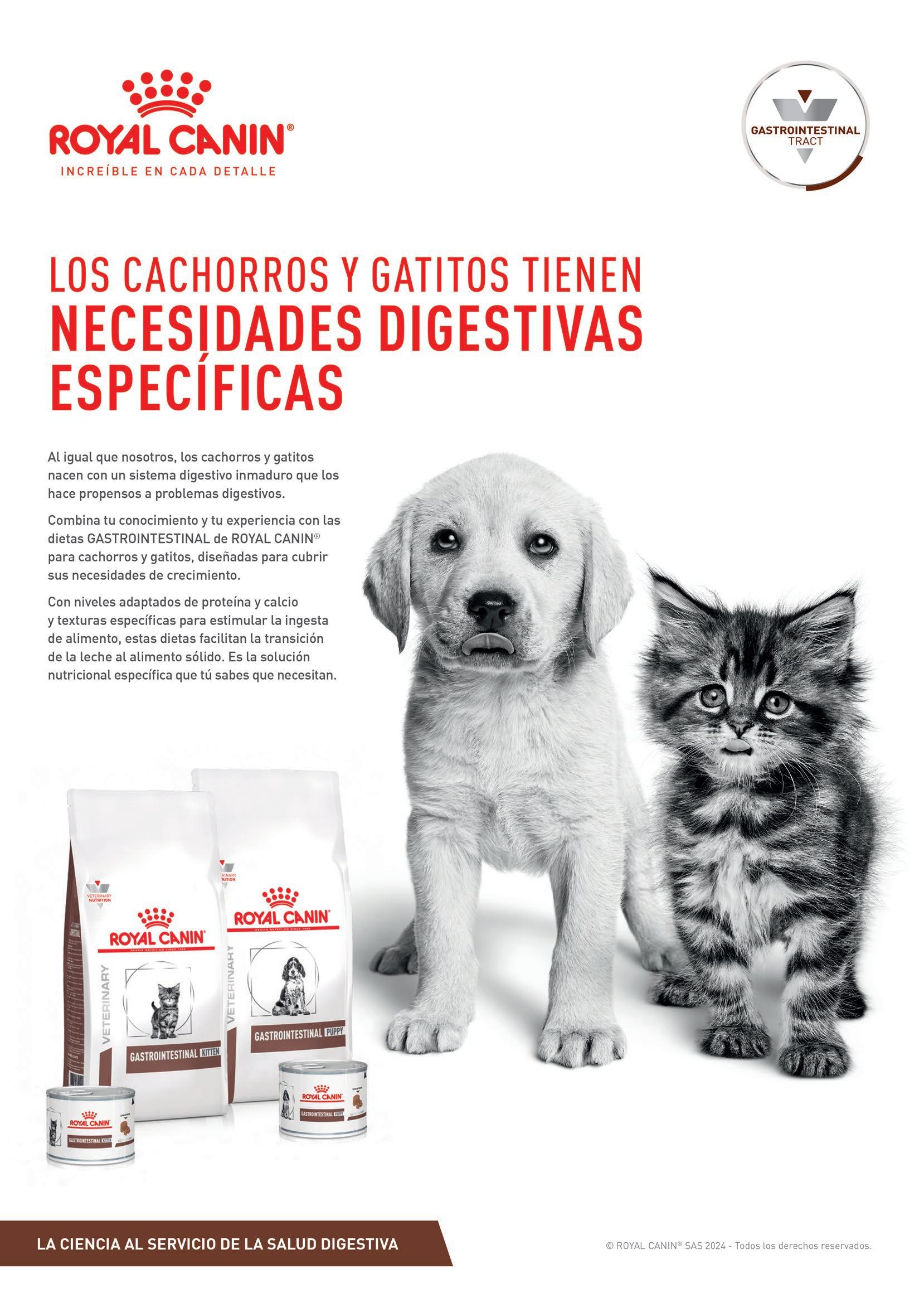 Argos 258 by Grupo Asís - Issuu