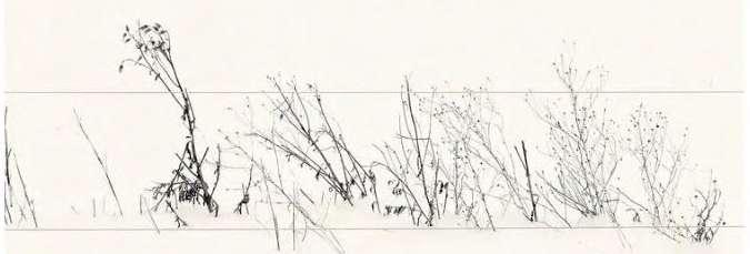 Portfolio for Master of Landscape Architecture by arsh - Issuu