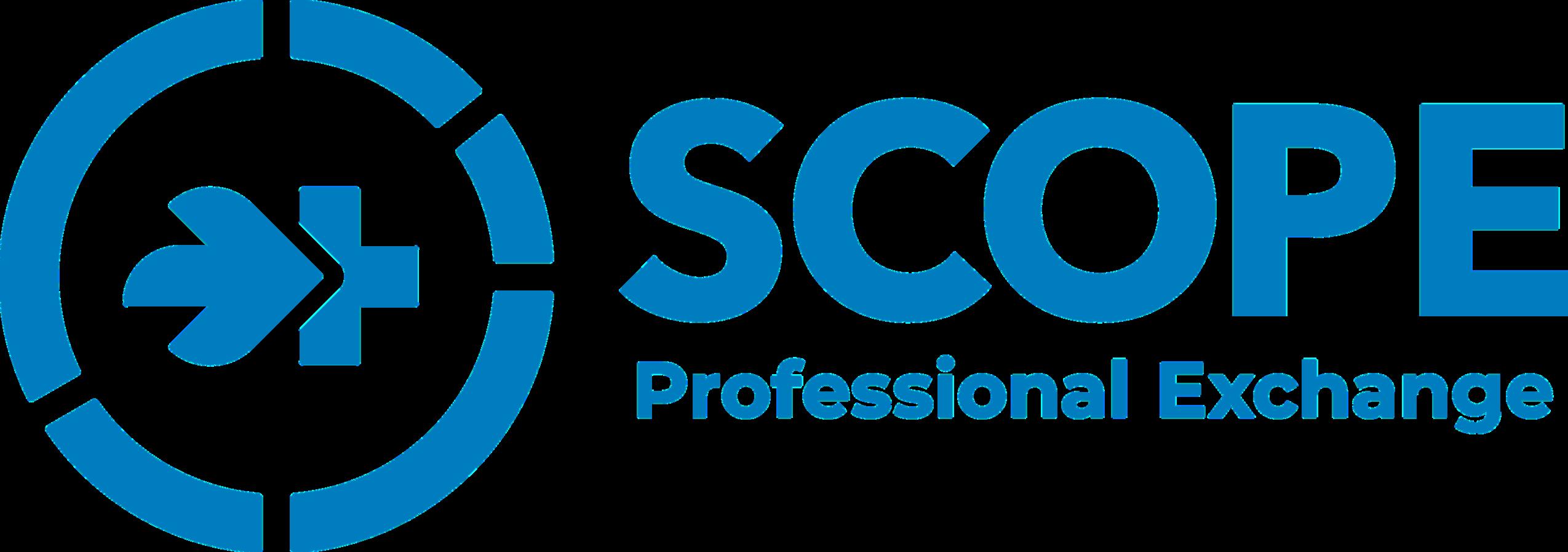 Candidature Plan - Raiqa Zakaria for National Exchange Officer for ...